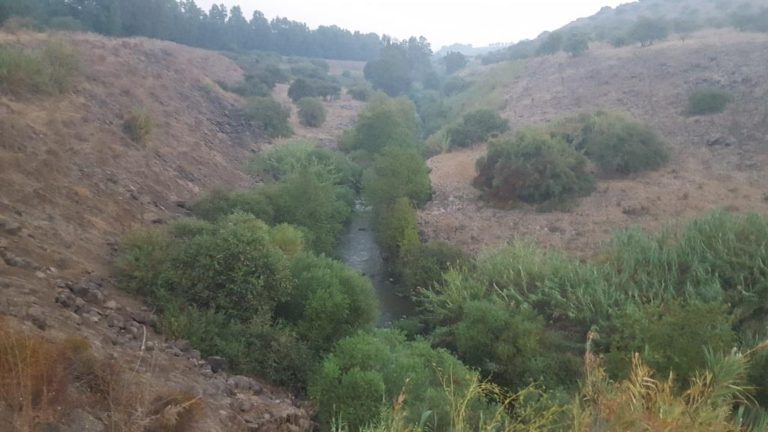 The raging Jordan river – Mad-in-Israel – hike